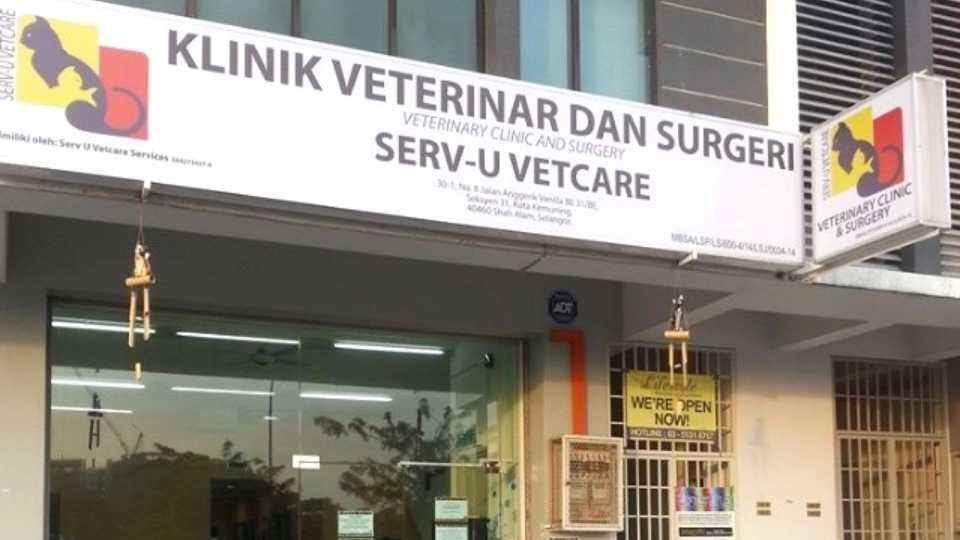 2023 Guide: 11 Best Vet Clinics in KL and Selangor